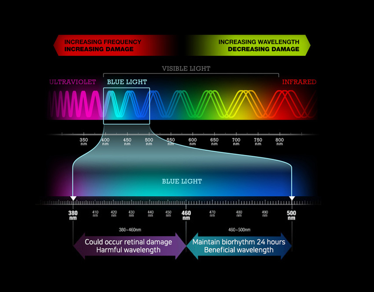 Blue Light Cut Filter for Laptop and Desktop Monitor - Lobcom HK Ltd